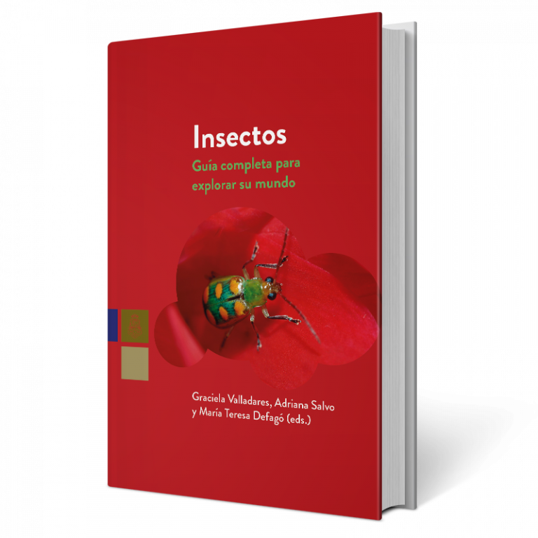 Insectos Guía completa para explorar su mundo – LUA – Librería ...